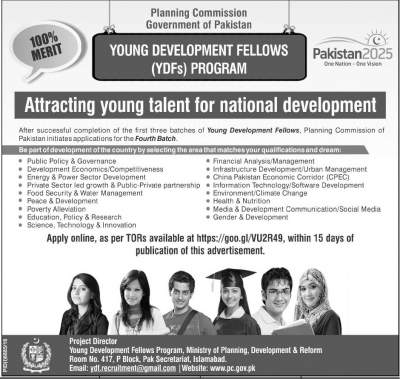 Young Development Fellows Program 2019 Apply Online Last Date